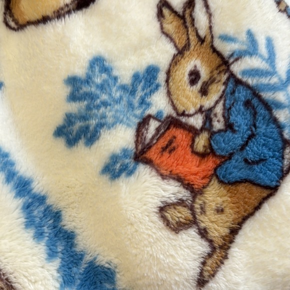Beatrix Potter | Bedding | Beatrix Potter Peter Rabbit Velvet Soft ...